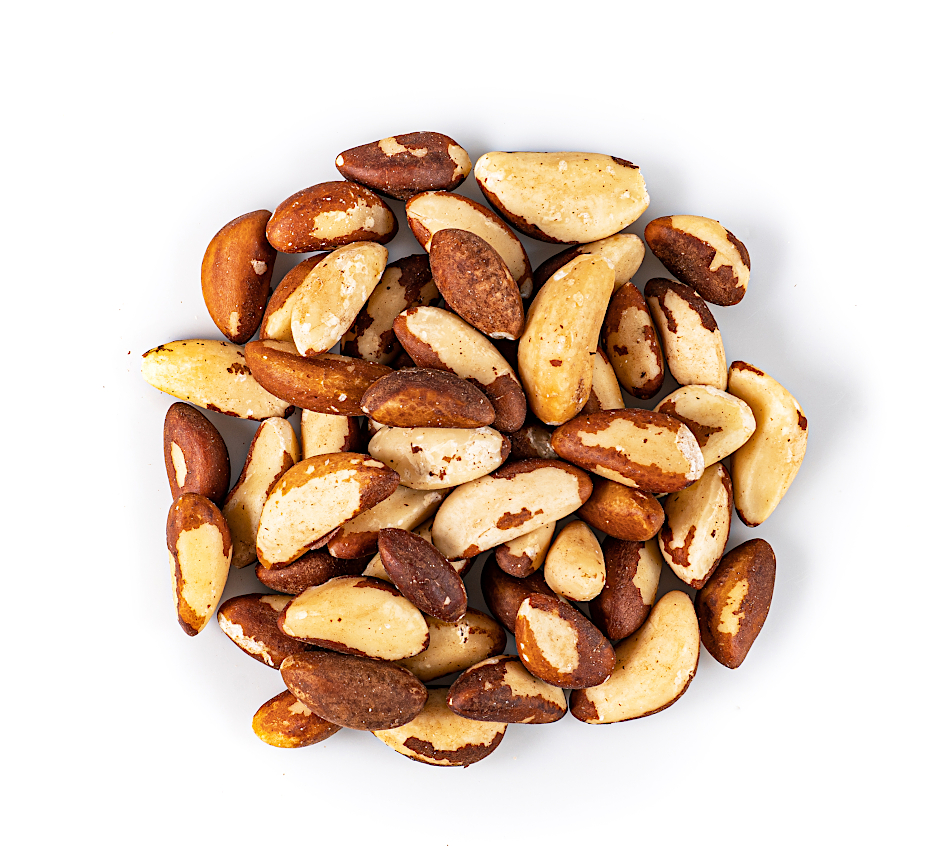 Brazil Nuts Suppliers | Whole Brazil Nuts Distributor UK