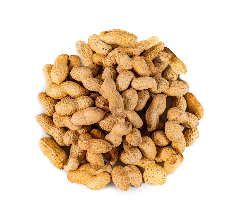 Monkey Nuts UK | Sunburst Snacks Roasted Monkey Nuts